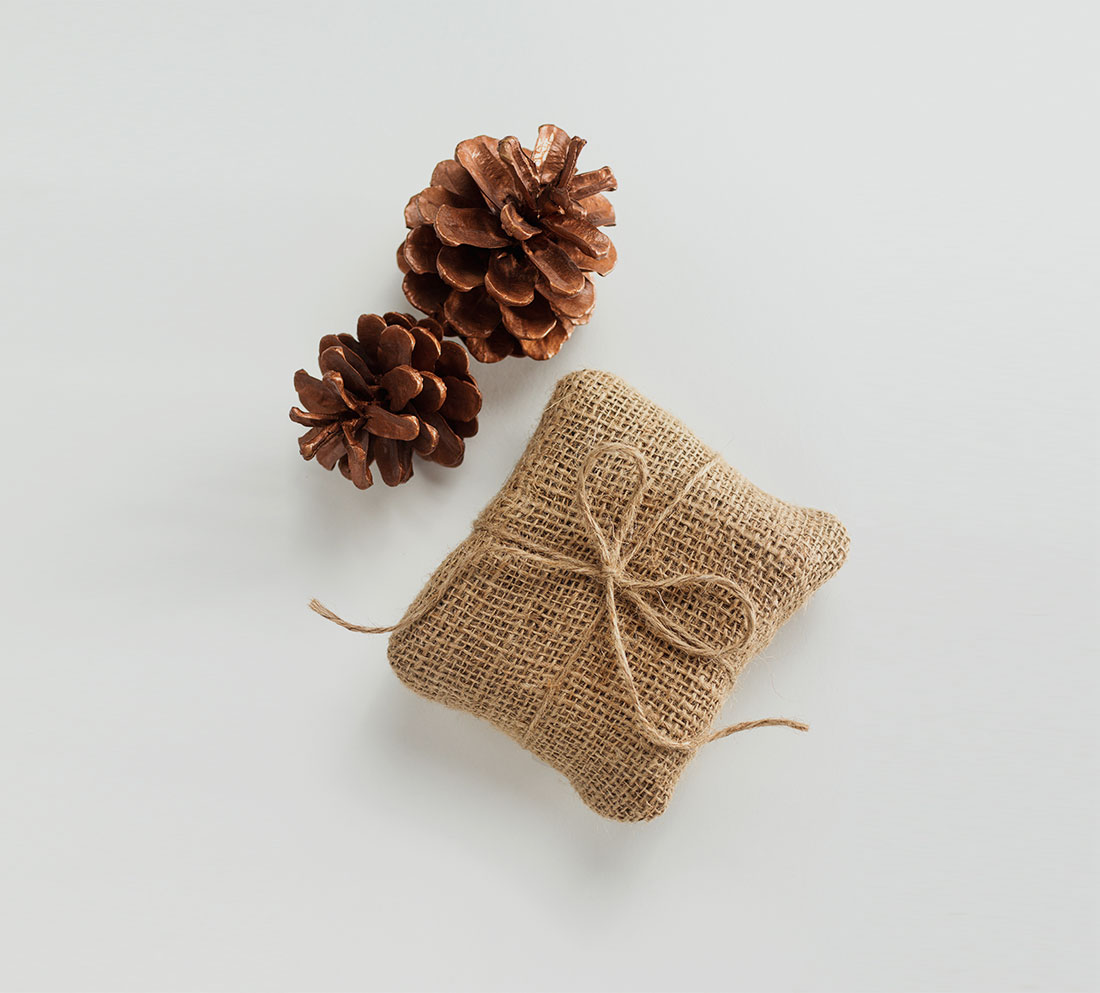 TerraCIS Technologies Ltd. | Velvet Armchair